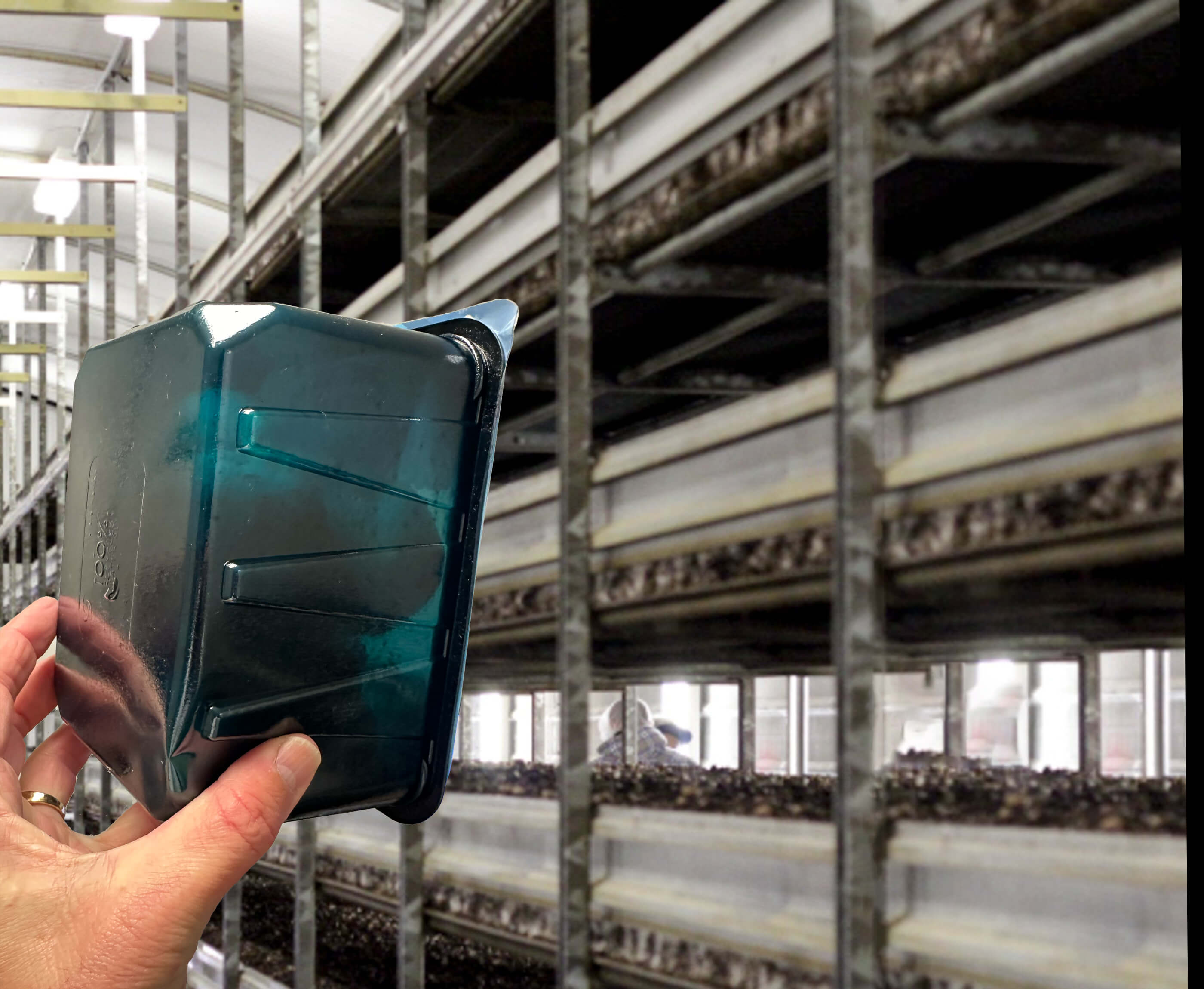 rPET Plastic: What It Is and Why You Should Care